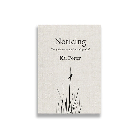 Noticing – The Provincetown Independent Shop